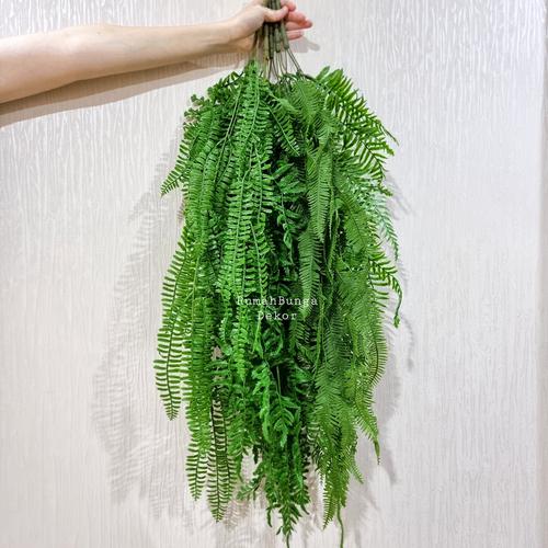 Jual Daun Pakis Juntai Panjang Latex Premium - Jakarta Barat - Rumah ...