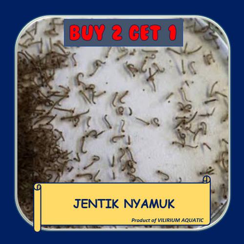 Jual PAKAN IKAN HIAS - JENTIK NYAMUK / ENCU - Jakarta Pusat - Vilirium ...