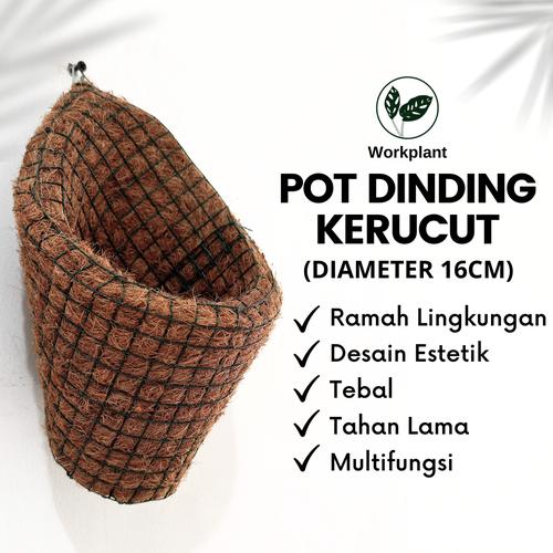 Promo Pot Dinding Kerucut - Pot Serabut Kelapa Tempel Tanaman Anggrek ...