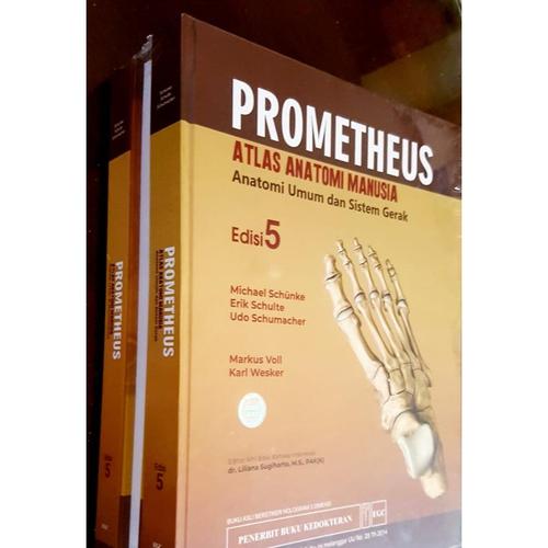 Jual NEW PROMETHEUS Atlas Anatomi Manusia - Paket 3 buku - Edisi 5 ...