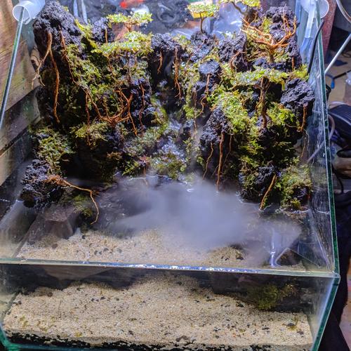 Jual paket paludarium full set 35cm/paludarium tank/paludarium ...