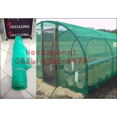 Jual Jaring Insectnet Hijau lebar 1 meter Insect screen net Kasa Roll MG020 - Kota Balikpapan ...