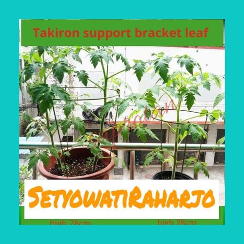 Jual SSG TAKIRON plant support bracket f Penyangga daun Tanaman circle ...