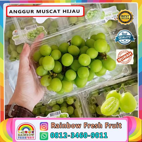 Jual ANGGUR HIJAU MUSCAT 1 PACK EKSOTIS MANIS TANPA BIJI ASLI DARI ...