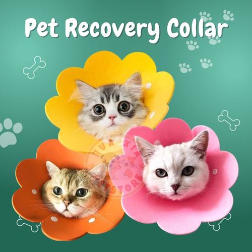 Jual Corong Collar Kucing Anjing / Pet Recovery Cone - XS, Orange ...