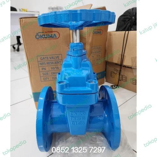 Jual Gate valve resilient 4" - PN16 merk RISER - Jakarta Utara - katup ...