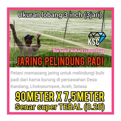 Jual Potongan Jaring Penutup Padi Senar Tebal / Jaring Emprit Tebal ...