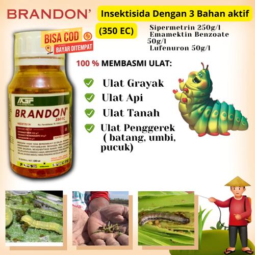 Jual BRANDON INSEKTISIDA MEMBASMI HAMA ULAT, SUNDEP DLL ,3 BAHAN AKTIF ...