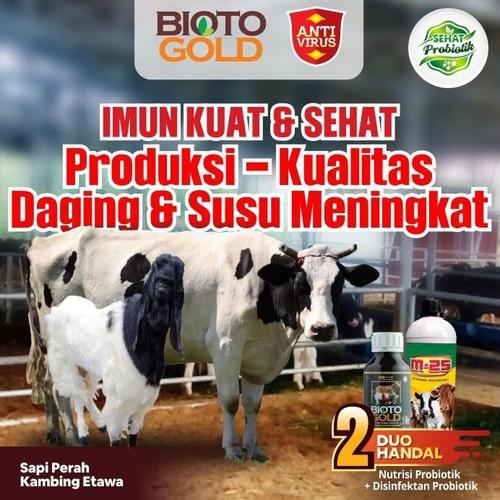 Jual Nutrisi Penggemuk Vitamin Obat Ternak Sapi Kambing Domba Duo ...