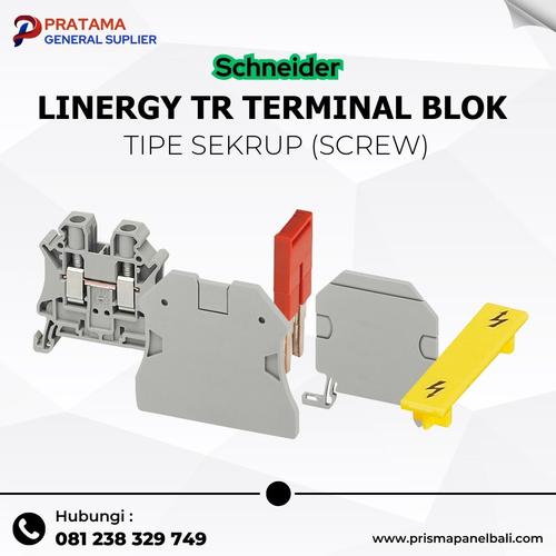 Jual Schneider Linergy TR Terminal Blok Tipe Sekrup (Screw) - NSYTRACS2 ...