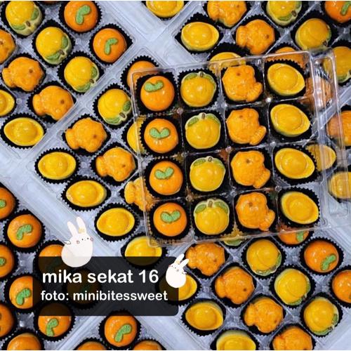 Jual Tray Mika & Tutup mika 16 cavity YND1 - Jakarta Utara - Vomega ...