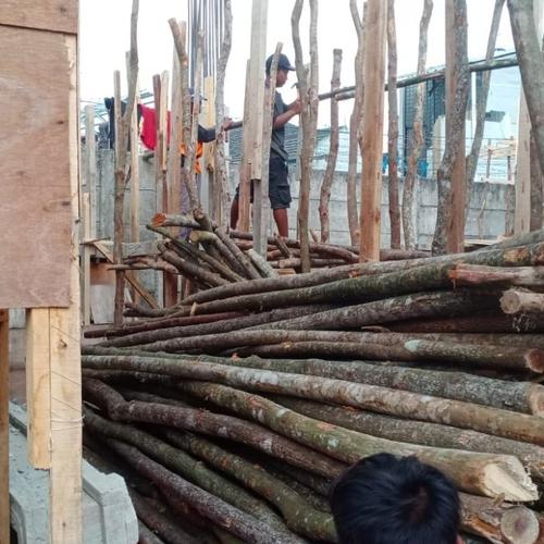 Jual Dolken Kayu 6/7 Panjang 4 Meter Kayu Dolken Puspa Bekisting Tiang ...