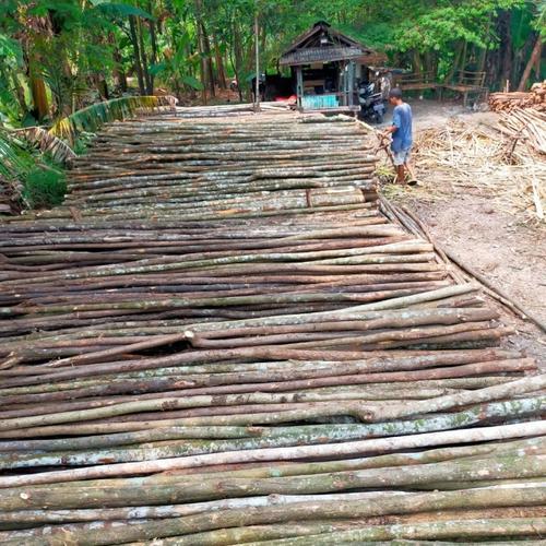 Jual Dolken Kayu 6/7 Panjang 4 Meter Kayu Dolken Puspa Bekisting Tiang ...