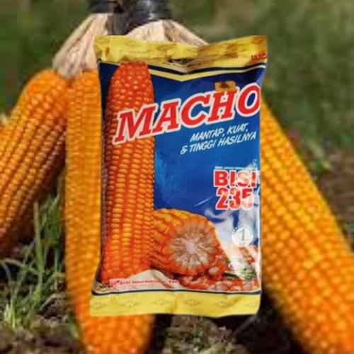 Jual Jagung Bisi 235 macho ori 1 kg isi +- 4.293 biji. Hibrida F1 super ...