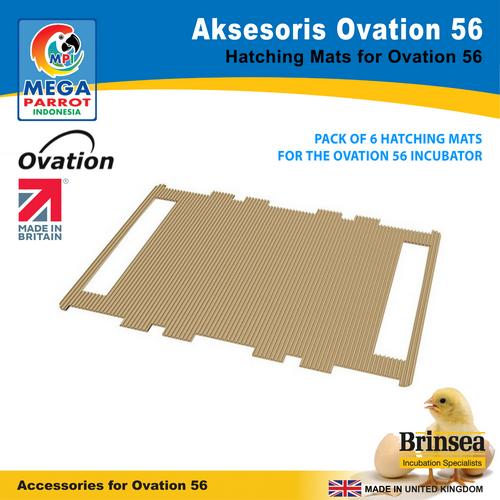 Jual Hatching Mats for Brinsea Ovation 56 Egg Incubator - Jakarta Barat ...