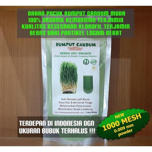Jual Rumput Gandum Instant Bubuk Ekstrak (Wheatgrass Extract Powder ...