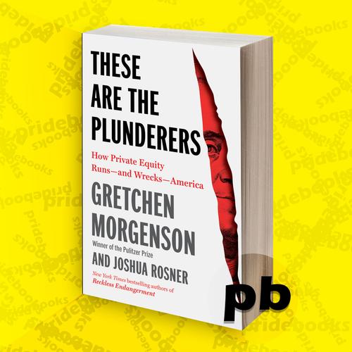 The Plunderers Private Equity