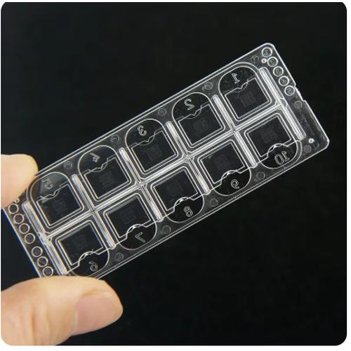 Jual 10pcs Disposable Neubauer Chamber Urine Sediment Counting Chamberp ...