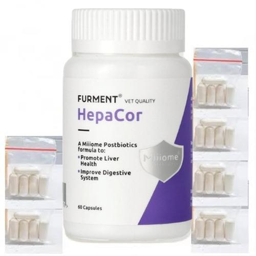 Jual HepaCor Eceran 30 Capsul Obat Ginjal Anjing Dan Kucing - Jakarta ...