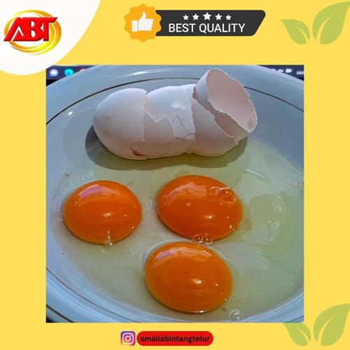 Jual ABT - 30 Butir Telur Ayam Kampung Omega isi orange 1 Tray - Kota ...
