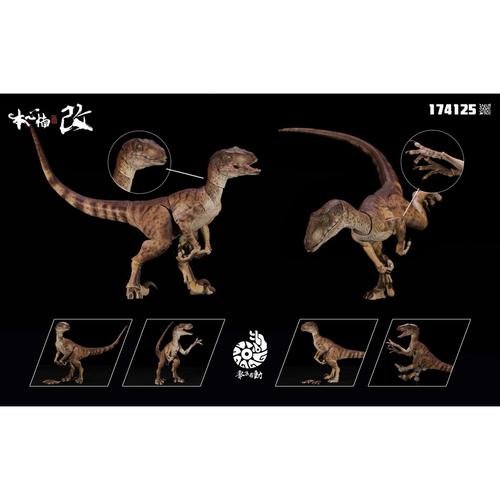 Jual Nanmu Studio 174125 Easy Motion Series Raptor 2.5 (Shadow Blade ...