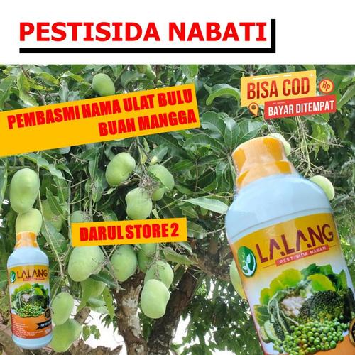 Jual MURAH!! LALANG 500ml Pestisida Nabati Basmi Hama Ulat Bulu Buah ...