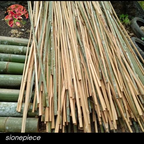 Promo Ajir/Bambu Penyangga Tanaman Ukuran 150cm - Jakarta Pusat ...