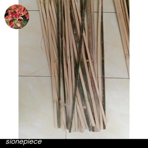 Jual Bambu/Ajir/Penyangga Tanaman Bambu Ukuran 60cm - Jakarta Pusat ...