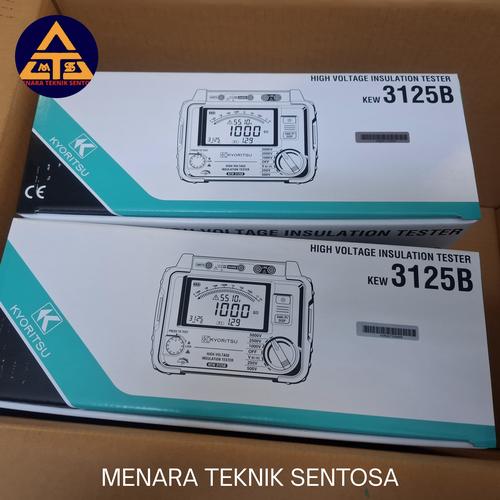 Jual Kyoritsu KEW 3125B High Voltage Insulation Tester - Jakarta Barat ...
