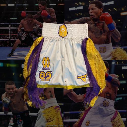 Jual Brawlers Special Custom Boxing Trunks Pro-Style Gervonta "Tank ...