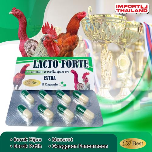 Jual OBAT AYAM LACTO FORTE BEST SAKIT PENCERNAAN KURUS BERAK KAPUR ...