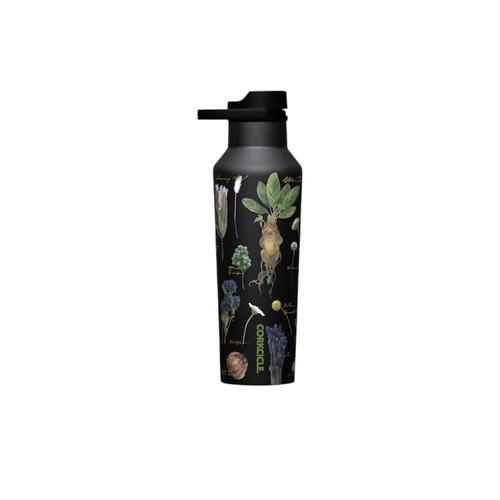 Jual Corkcicle x Harry Potter Herbology 20 oz Sport Canteen Botol Minum ...