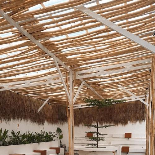 Jual Ranting Kayu Jati Kering 200 CM Bahan Atap Dekoratif Dayani ...