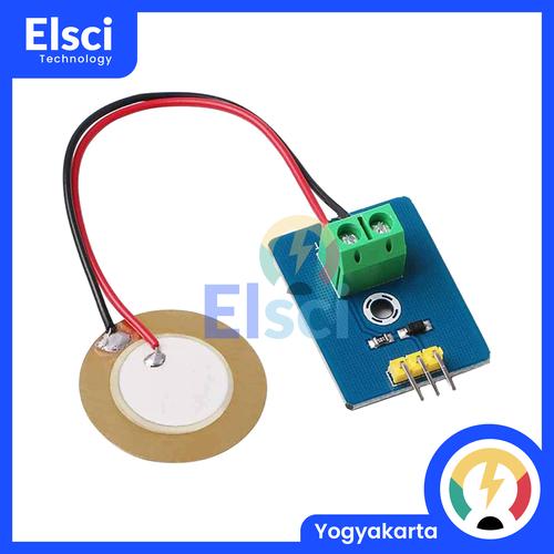Jual Piezoelectric Vibration Sensor Module - Kota Yogyakarta - Elsci ...