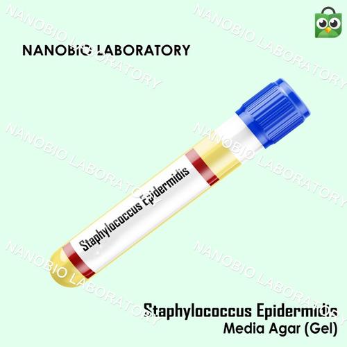 Jual Isolat Culture Staphylococcus epidermidis Media Gel / Cair - Media ...