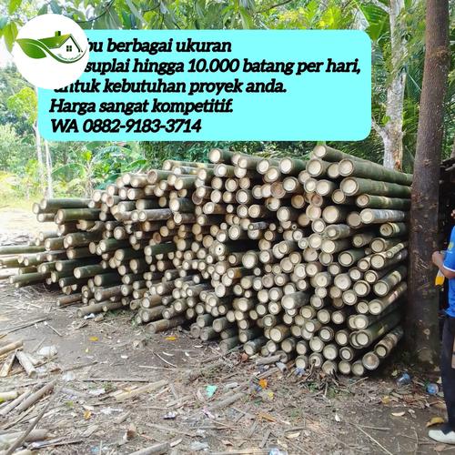 Jual BAMBU COR GRATIS ONGKIR/BAMBU MURAH/BAMBU STEGER/BAMBU DAK/BAMBU ...