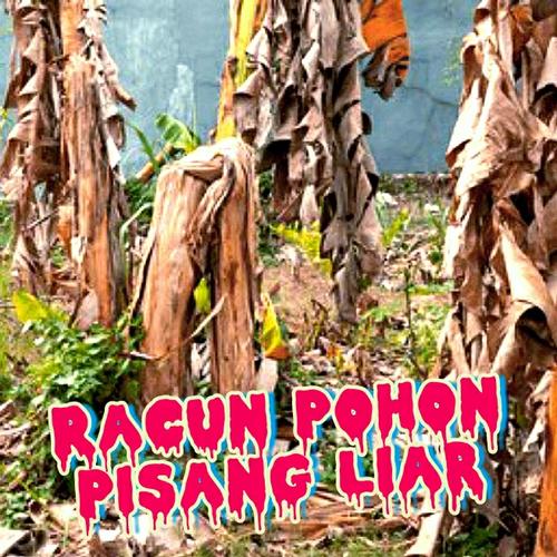 Jual Racun Pohon Pisang Liar, AMPUH, mati sampe akar dan Tunasnya ...