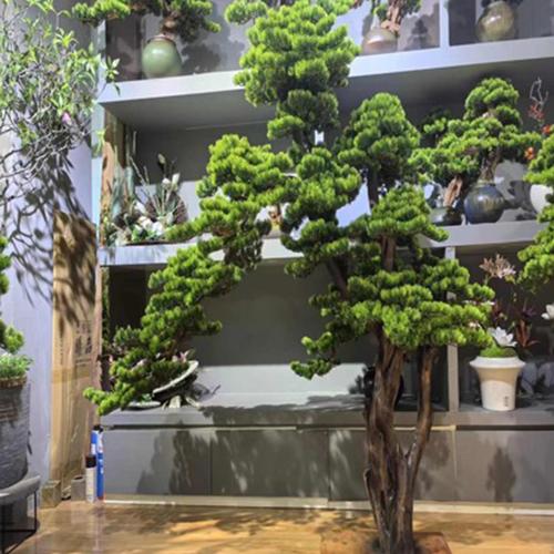 Jual Tanaman Hias Pohon Bonsai Jepang Jumbo / Artificial Decor Tree ...