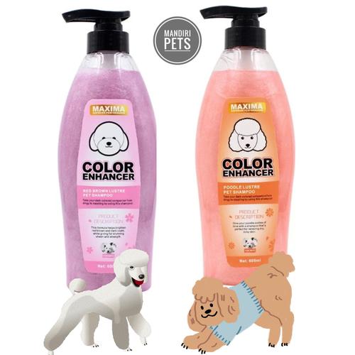 Jual Shampoo Anjing Poodle - Maxima Red & Brown Poodle Dog Shampoo ...