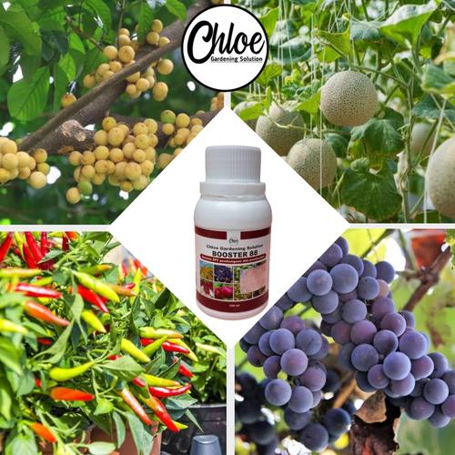 Jual Pupuk Booster 76 Upgrade Kemasan Baru Booster 88 Pelebat Buah ...
