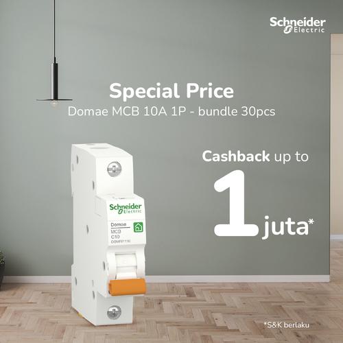 Promo Schneider Electric MCB Domae 10A 1P - DOMF01110 (isi 30pcs) Cicil 0% 3x - Jakarta Pusat ...