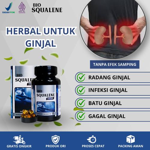 Jual Obat Gagal Ginjal, Infeksi Ginjal, Batu Ginjal, Radang Ginjal ...