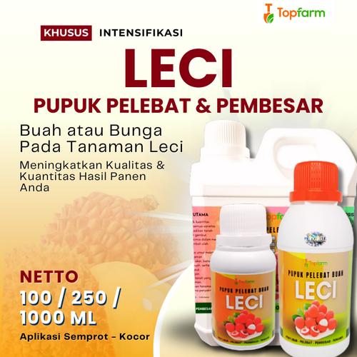 Promo Pupuk Buah Leci Terbaik - Pupuk Pelebat Buah Leci / Pupuk Leci ...