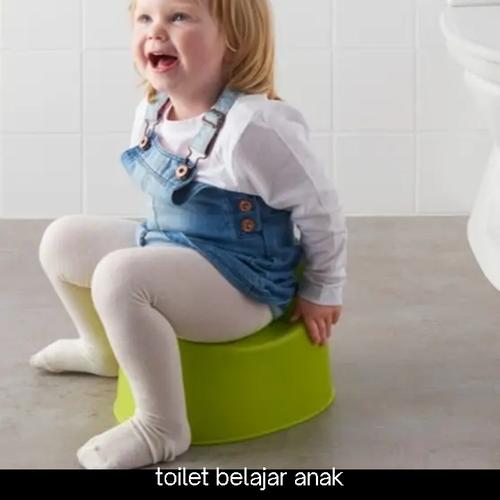 Jual pispot duduk anak di toilet - Kota Batam - Hanabatam | Tokopedia