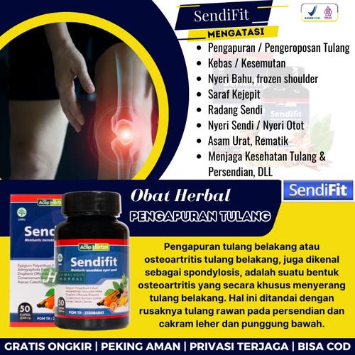 Jual SENDIFIT ORIGINAL - Obat Tradisional Atasi Pengapuran Tulang ...