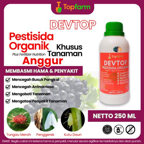 Promo Obat Semprot Hama Anggur / Obat Hama Tanaman Anggur / Obat Ulat ...