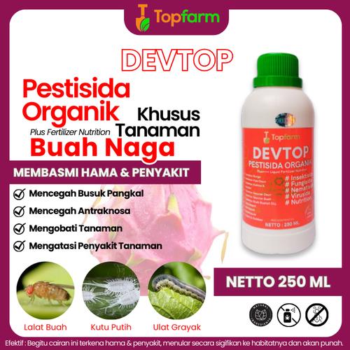 Promo Obat Hama Tanaman Buah Naga / Obat Semprot Hama Buah Naga / Obat ...
