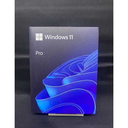 Jual Windows 11 Professional FPP USB instaler 2.0 Original Lifetime ...