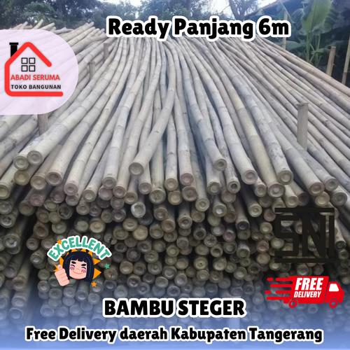 Jual TERMURAH / BAMBU STEGER PANJANG 6 METER / BAMBU 6 METER / BAMBU ...