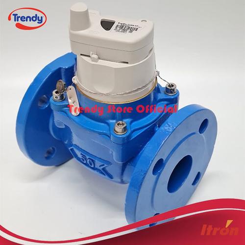 Promo Water Meter Itron Woltex 2 Inch Cyble RF - Meteran Air Itron DN50 ...
